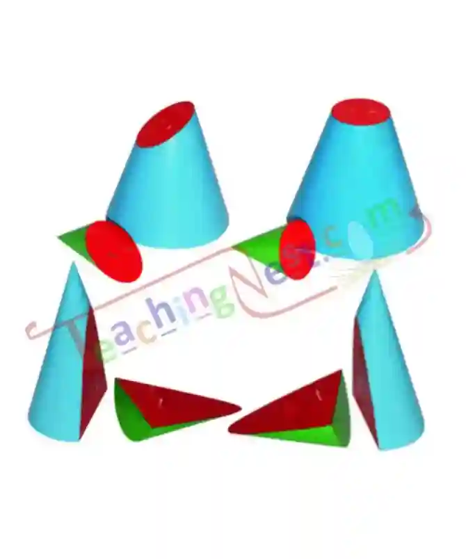 Conic Section (Set of 4) - TeachingNest