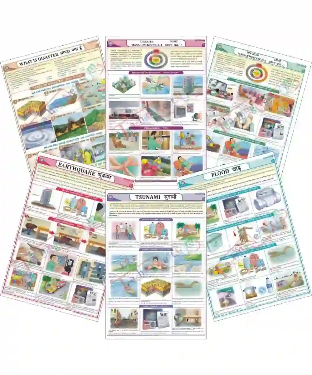 Disaster Management Charts, Set of 12 - Laminated, With Rollers, 70×100 ...