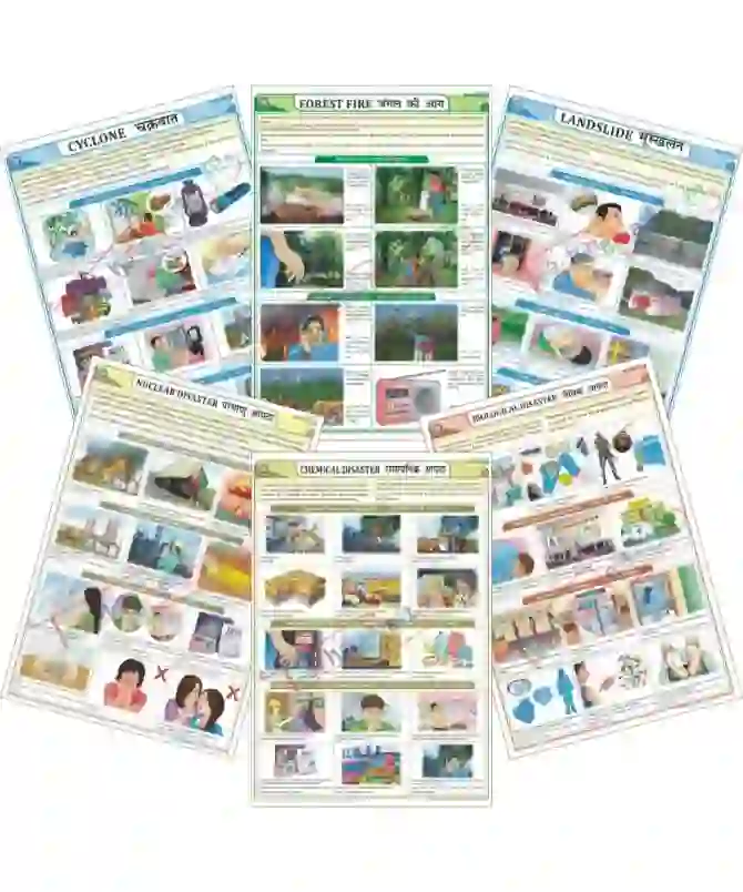 Disaster Management Charts, Set of 12 - Laminated, With Rollers, 70×100 ...