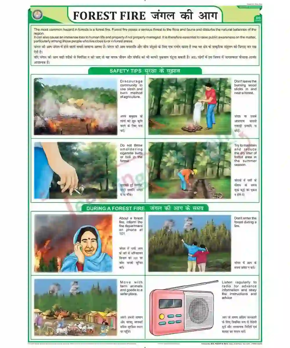 Forest Fire Chart - Laminated, Wall Sticking, 70×100 cm, English and ...