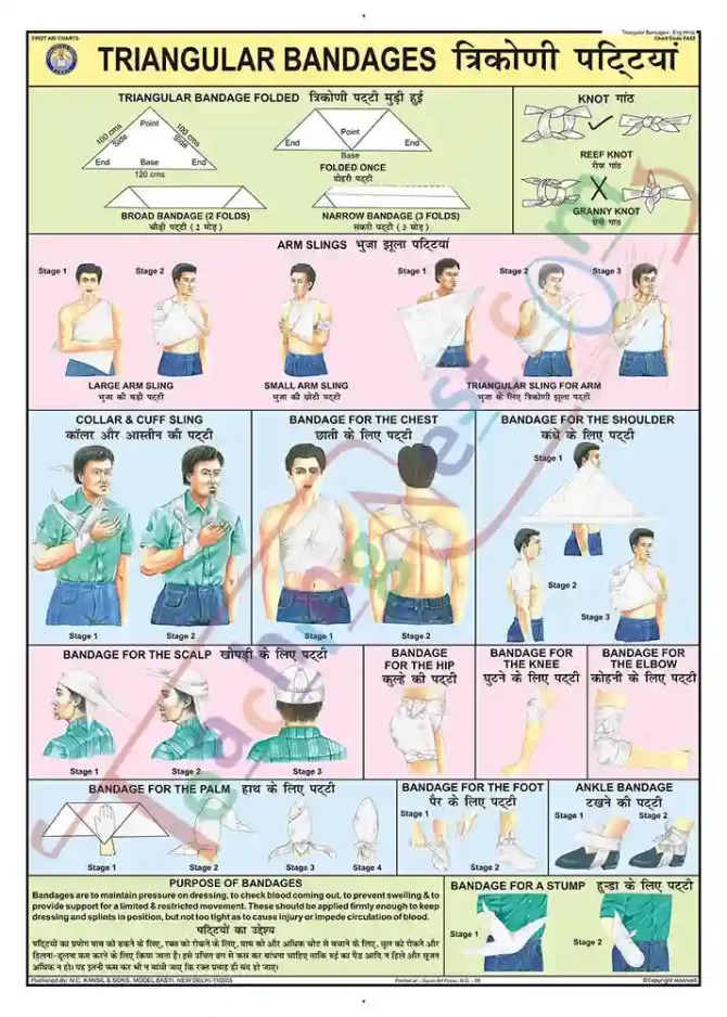 Triangular Bandages Chart - Laminated, With Rollers, 50×70 cm, English ...